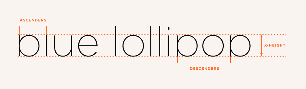 Designer Lingo 101: Typography - The Design Lab
