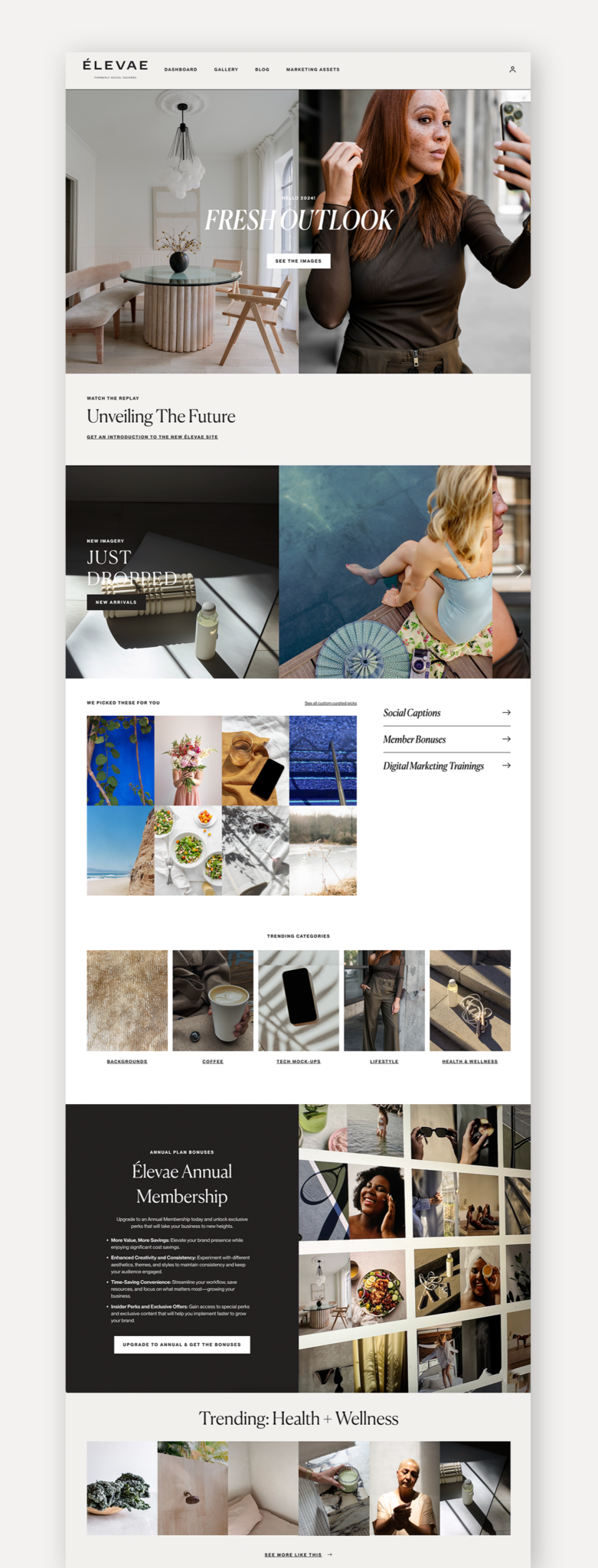 Elevated and Functional Website Redesign with Élevae Visuals - The Design Lab